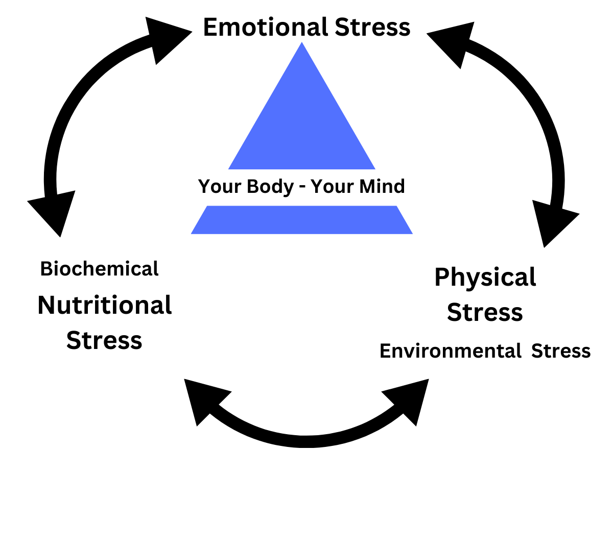 Exploring Emotional Stress and the Impact of NET - Dr. Marcelle